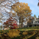 CoSM - Chapel of Sacred Mirrors